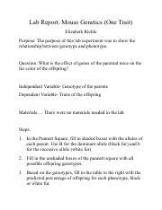 Mouse Genetics One Trait Pdf Lab Report Mouse Genetics One Trait Elizabeth Riehle Purpose