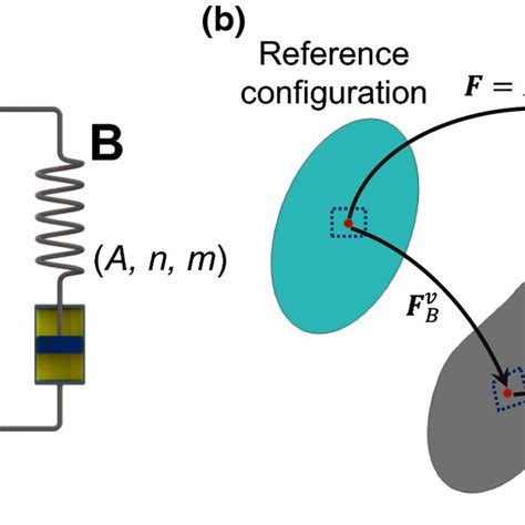 a schematic representation of the proposed nonlinear viscoelastic model