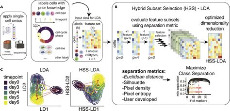 Supervised Dimensionality Reduction For Exploration Of Single Cell Data