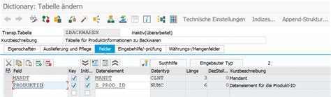 Programmieren Mit Sap Abap Teil 2 Das Abap Dictionary In Der Praxis Conet Technologie Blog