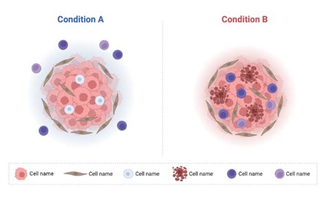 Tumor Comparison Layout BioRender Science Templates