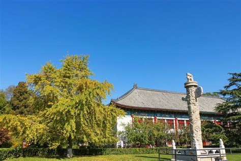 远程实习丨北京大学科研助理，有薪资 实习证明，可获推荐信 知乎