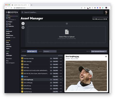 Asset Hosting Codepen