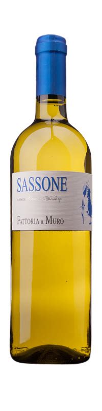 Sassone Bianco Di Toscana Icarius Wijnen