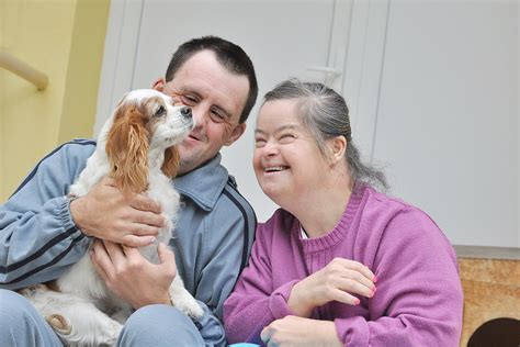 Sex Ability SHORE Centre