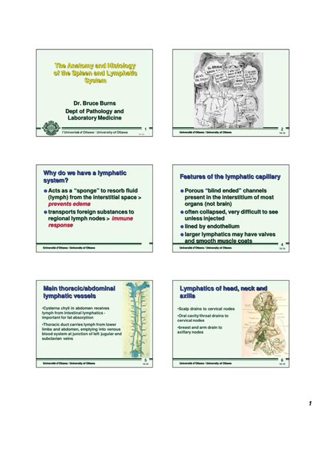 PDF Lymphatic System Lecture DOKUMEN TIPS