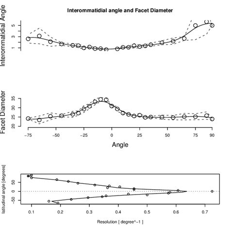 Peaks Indicating Minimum Interommatidial Angle Maximum Facet Diameter Download Scientific