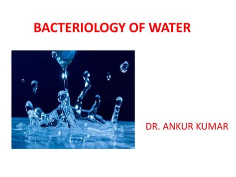 Most Probable Number Mpn Method Pptx
