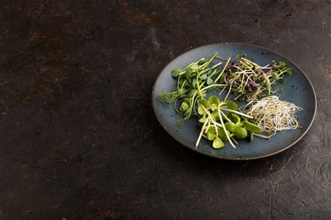 녹색 완두콩 해바라기 알팔파 무의 마이크로 그린 콩나물이 있는 파란색 세라믹 플레이트 측면 보기입니다 0명에 대한 스톡 사진 및 기타 이미지 Istock