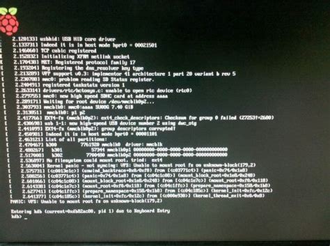 关于树莓派启动过程中出现Kernel Panic和Entering kdb什么的 Frank s Weblog