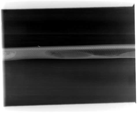 Invasion Of The Giant Pythons Photos Python Digesting An Alligator