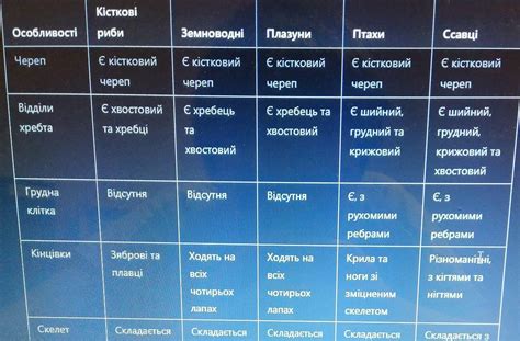 Накресліть таблицю і заповніть її 1 Особливості черепа 2 Вiддiли хребта 3 Наявність грудної