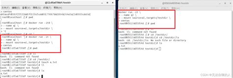 【docker】数据管理之数据卷的挂载docker 挂载数据卷 Csdn博客