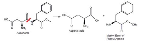 Aspartame The Artificial Sweetener Is Made By A Dipeptide Class 9
