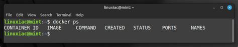 how to install docker on linux mint 21 a step by step guide