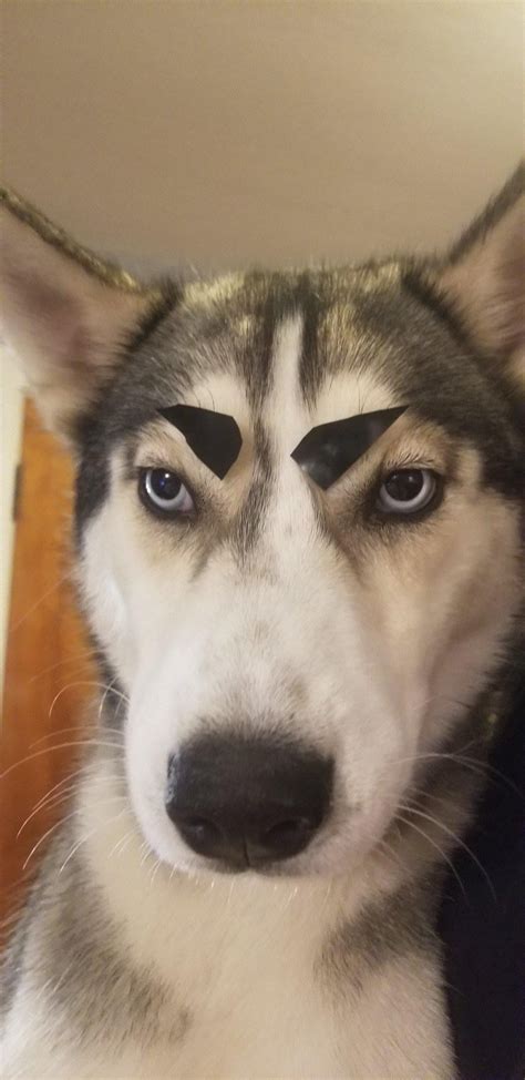 Stassi Schroeder Before Chin Implant Rvanderpumprules