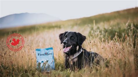 Nutrisource Pet Foods Added A New Nutrisource Pet Foods