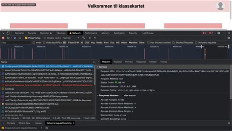 Problems With Auth0 Authorization Code Using School Service Openid