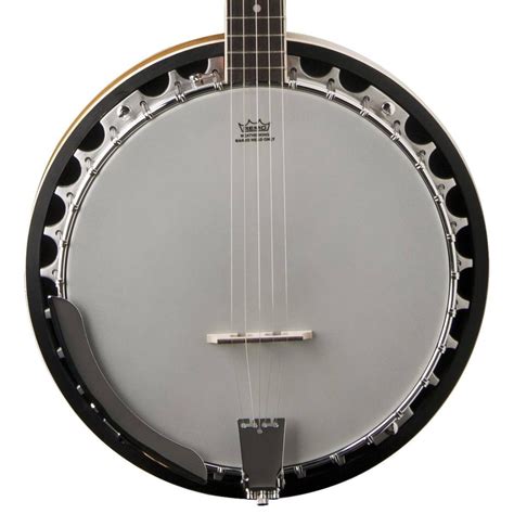 Banjo Resonator