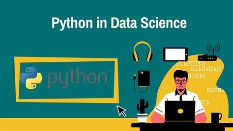 Python Basics Loop Conditions Functions By Srayoshi Bashed Mirza