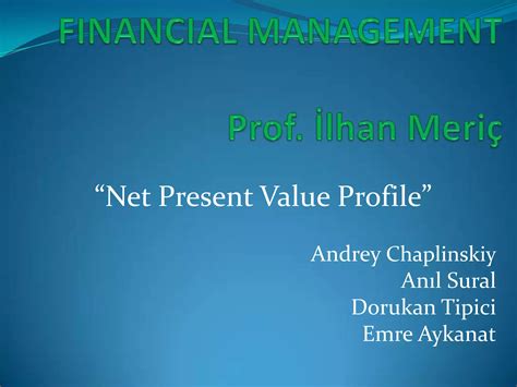 Anıl Sural Net Present Value Profile PPT