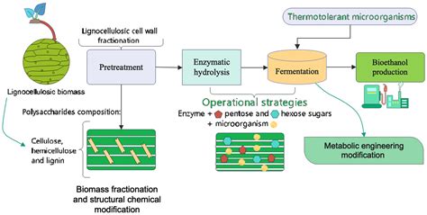 Biochemical And Biorefinery Platform For Second Generation Bioethanol