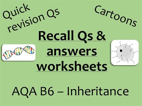 AQA Biology GCSE B6 Inheritance Recall Qs Teaching Resources