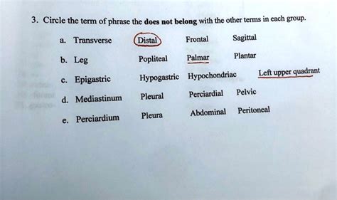 Solved A Transverse Distal Frontal Sagittal B Leg Popliteal Palmar