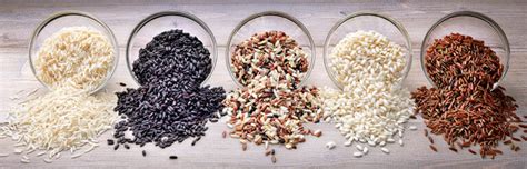 Exploring Indian Rice Types Tips For Choosing The Best Quality
