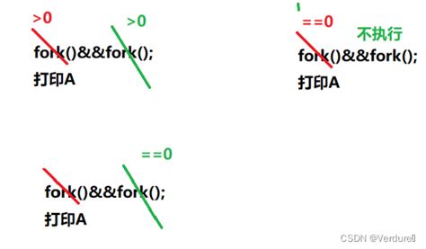 linux中fork复制进程和写时拷贝技术（重点）以及fork相关练习 fork写时复制 csdn博客