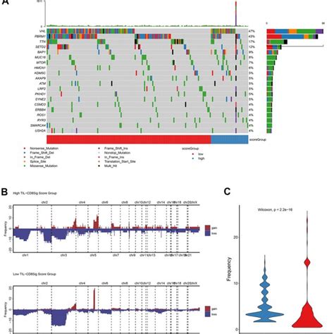 Genetic Landscape Analysis Of Mutation And Copy Number Variation Cnv