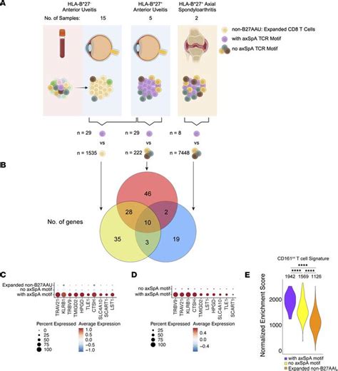 Jci Insight Mucosal Signatures Of Pathogenic T Cells In Hla B 27