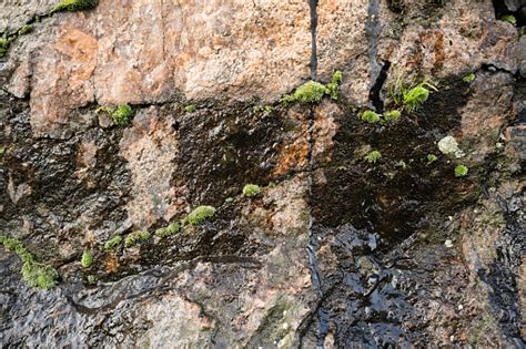 검은 물질의 줄무늬가있는 돌 야외에서 균열이있는 마그마타이트 형성의 바위 0명에 대한 스톡 사진 및 기타 이미지 0명