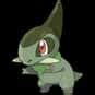 Best Dragon Pokemon List Of Top Dragon Type Pokemon From Every Generation