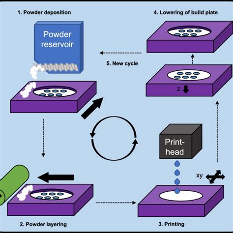 Schematic Drawing Of Printing Process Download Scientific Diagram