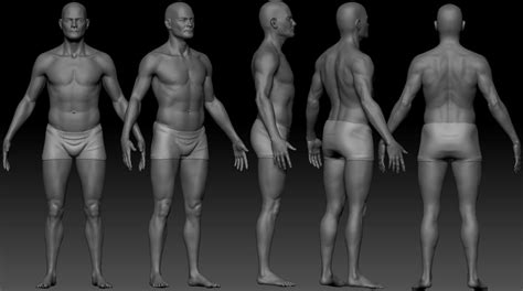 zygote cad 3d male muscular skeletal model medically 53 off