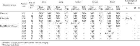 Nipah Virus Detection By Cell Culture Titration Rt Pcr And