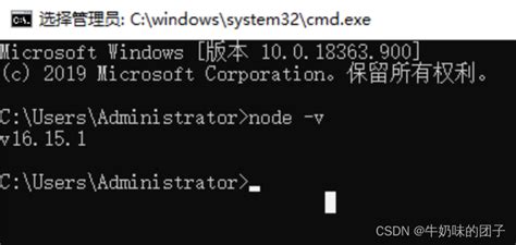 Nodejs安装 Csdn博客