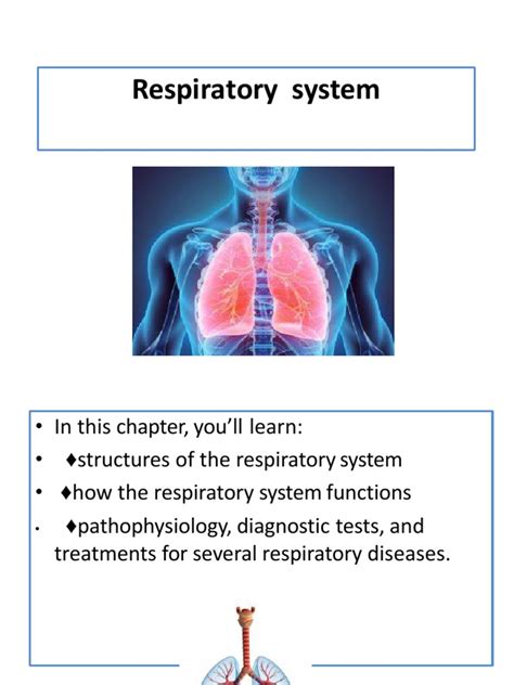 Respiratory Pathophysiology 1 Pdf