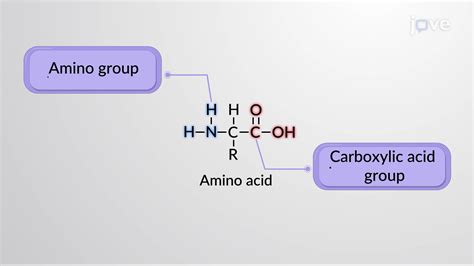 Video Overview Of Functional Groups