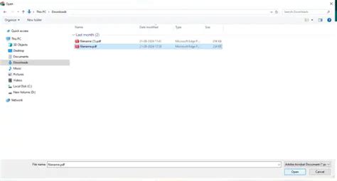 How To Accept Only Pdf File In React Js Ahoisting