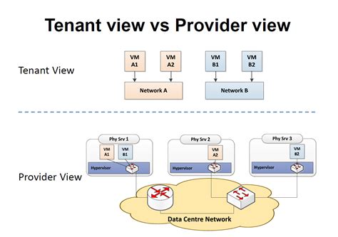 The Systems Engineer Organized Chaos Emerging Of The Virtual Network Aka Quantum In Openstack