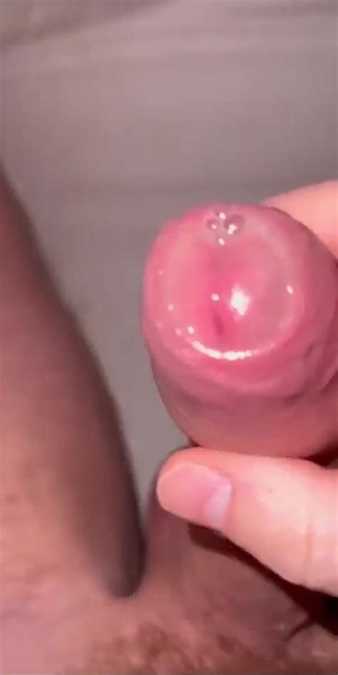 Super Cummy Breeding Thisvid Com