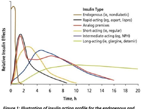 Type 1 Diabetes Graph