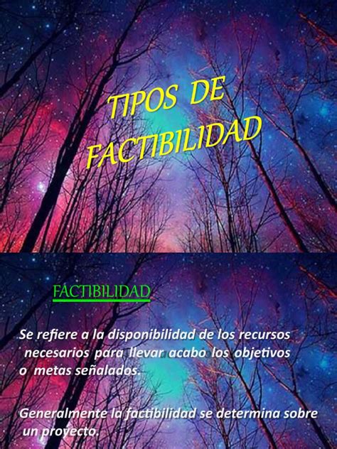 Tipos De Factibilidad Pdf