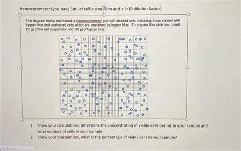 Solved Hemocytometer You Have 5 Ml Of Cell Suspe Pion And