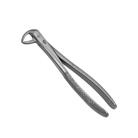 123c English Pattern Pedo Universal Extraction Forceps Prodentusa