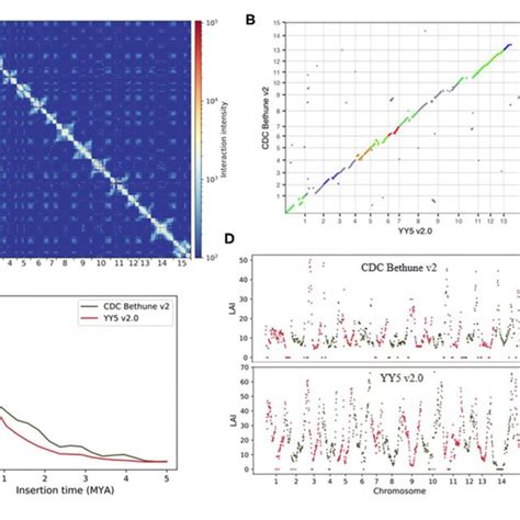 Genome Wide Hi C Interaction Heatmaps At 500 Kb Windows For The Yy5