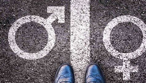 Breaking Down The Binary Nonbinary And Genderqueer