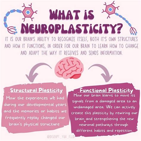 Neuroplasticity